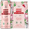 Absolut Berry Vodkarita Sparkling Vodka Cocktail - 4pk/355ml Cans : Target