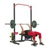 Sunny Health & Fitness Power Zone Squat Stand : Target