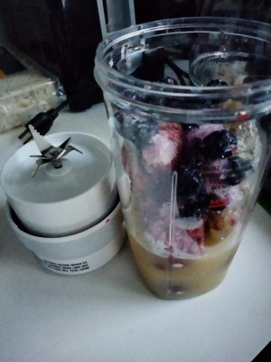 Bionic Blade Personal Portable Blender 16.5 Oz Cordless Rechargeable ...