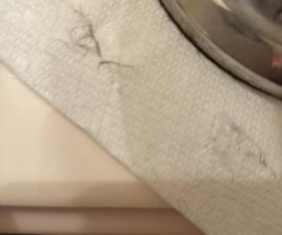 Flamingo Dermaplane Razor - Reusable Facial Razor - 1 Razor Handle - 2 ...