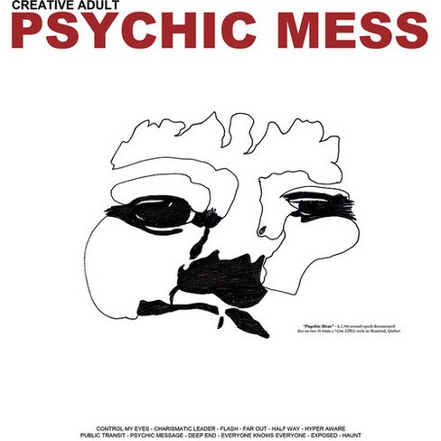 Creative Adult - Psychic Mess : Target