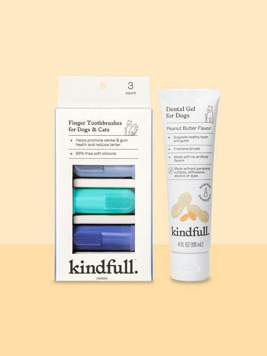 Pet Health & Wellness : Target