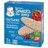 Gerber Teethers Strawberry Apple Spinach - 12ct/1.7oz Total : Target