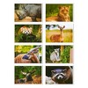 Best Paper Greetings Wild Animal Postcards – 40 Postcards – Bulk Set ...