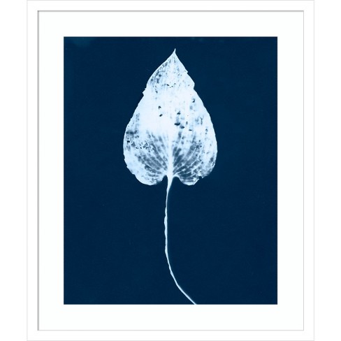 Amanti Art Cyanotype Leaf Iii By Jason Johnson Wood Framed Wall Art ...