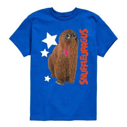 Boys' Sesame Street Snuffleupagus Photo Short Sleeve Graphic T-shirt ...