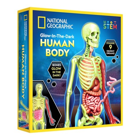 National Geographic Glow-in-the-dark Human Body : Target