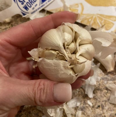 Spice World Fresh Whole Garlic - 3ct Bag : Target