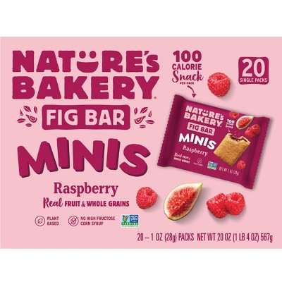 Nature's Bakery Raspberry Fig Bar Minis - 20oz/20ct : Target