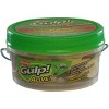 Berkley Gulp! Alive! Shrimp Bucket Fishing Bait (3-inch) - Pearl White ...