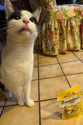 Temptations Creamy Puree With Chicken And Salmon Lickable Squeezable ...