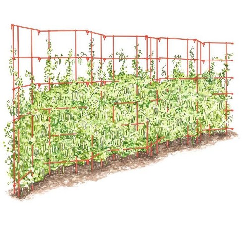 Gardeners Supply Company Sturdy Expandable Tall Pea Trellis For ...