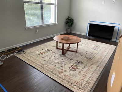 Nuloom Transitional Global Jody Area Rug : Target
