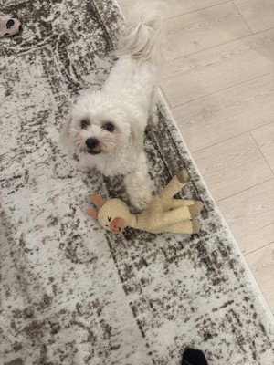 Bark Big Al Paca Dog Toy : Target