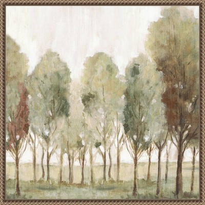 Amanti Art Silent Fall Trees I By Eva Watts Framed Wall Art Print : Target