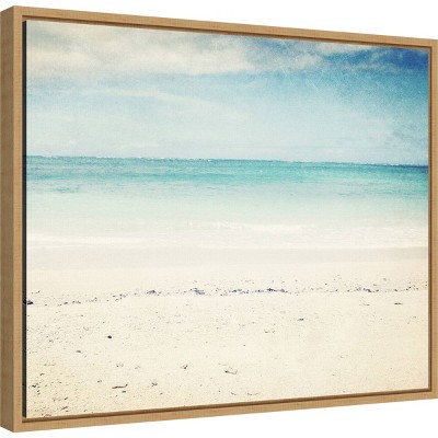 20" X 16" In The Clear By Lupen Grainne Framed Canvas Wall Art - Amanti ...