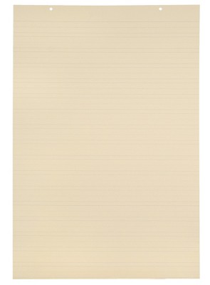 School Smart Jumbo Manila Tag Unruled Chart Paper, 36 X 24 Inches, 100 ...