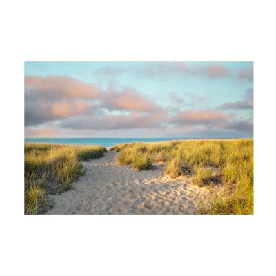Trademark Fine Art - Brooke T. Ryan Beach At Golden Hour Canvas Art ...