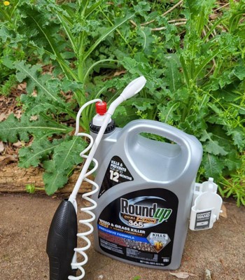 Roundup 32oz Max Control 365 Vegetation Killer Concentrate : Target