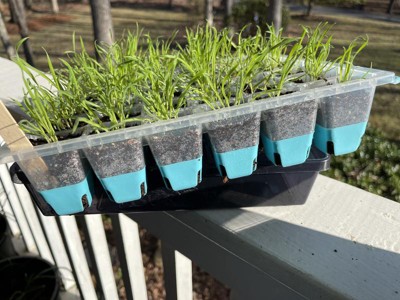 Burpee 36 Cell Superseed Seed Starting Tray : Target