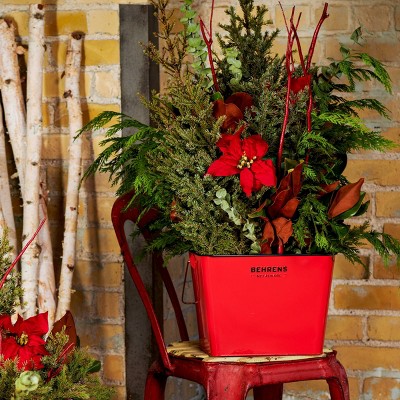 Behrens Rectangular Galvanized Steel Bucket Red : Target