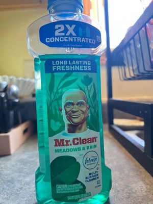 Mr. Clean Meadows & Rain Dilute Multi-surface Cleaner - 41 Fl Oz : Target