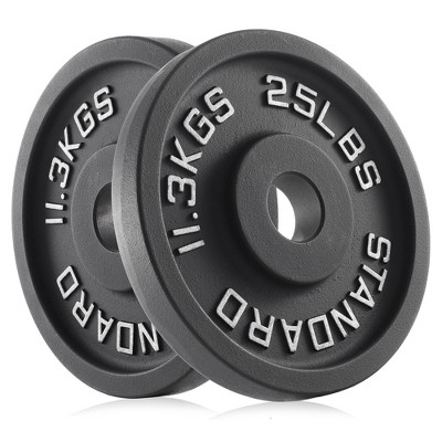 Philosophy Gym Set Of 2 Olympic 2-inch Rubber Bumper Plates (25 Lb Each ...