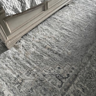 Nuloom Gena Distressed Transitional Medallion Area Rug - 8x10 Area Rug ...