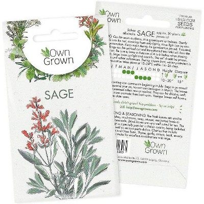 Owngrown Sage Perennial Seeds For Planting In Garden And Kitchen : Target