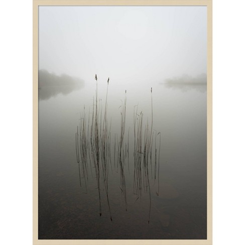 30"x41" Reeds In The Mist By David Ahern Wood Framed Wall Art Print ...