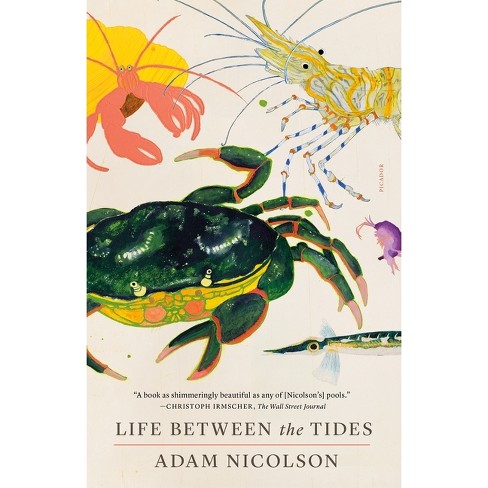 Life Between The Tides - By Adam Nicolson (paperback) : Target