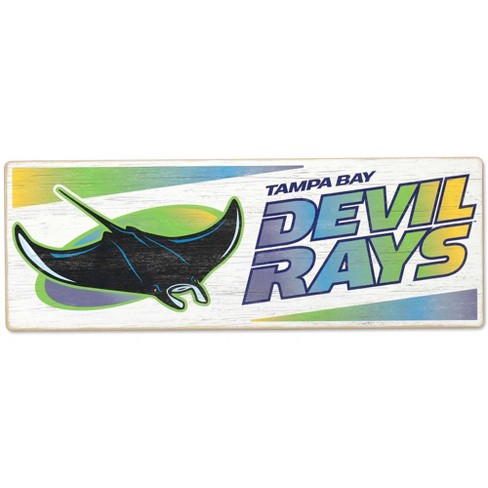 Tampa Bay Devil Rays History