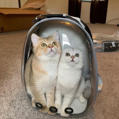 AEELLEEA Breathable Bubble Cat Backpack Carrier : Target