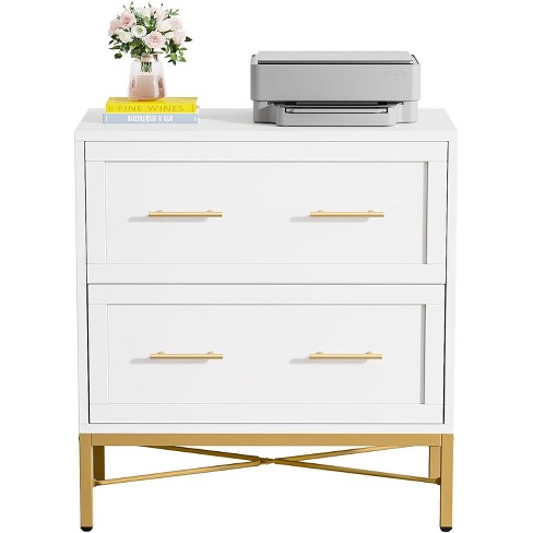 Tribesigns Lateral Filing Cabinet, 2-drawer File Storage Cabinet, White ...