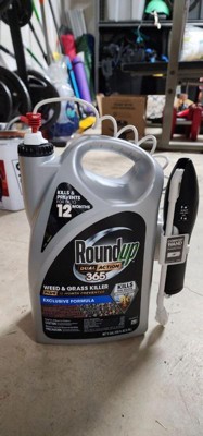 Roundup 32oz Max Control 365 Vegetation Killer Concentrate : Target