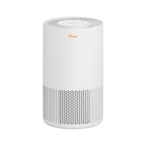 Crane True HEPA Air Purifiers for Home, Up To 250 Sq Ft, with Sleep ...