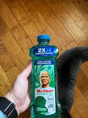 Mr. Clean Meadows & Rain Dilute Multi-surface Cleaner - 41 Fl Oz : Target