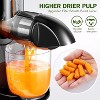Amzchef Masticating Juicer Machines, Amzchef Slow Cold Press Juicer ...