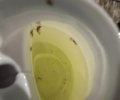 Epa Regular Bleach With Fabric Protection - Up&up™ : Target