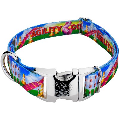 Country Brook Petz Premium Agility Dog Collar (1 Inch, Large) : Target