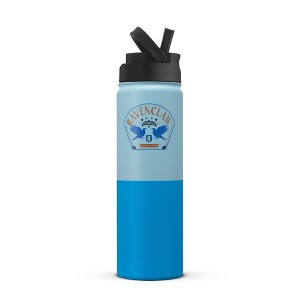 Harry Potter Ravenclaw Stainless Steel Water Bottle - 22 oz : Target