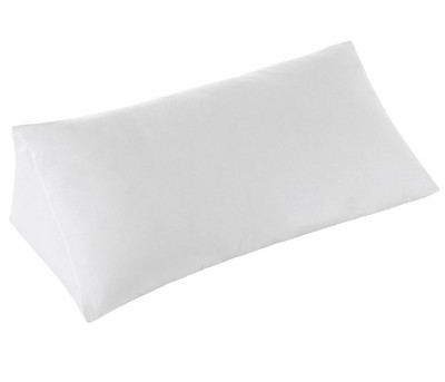 Cheer Collection Oversized Reading Wedge Pillow : Target