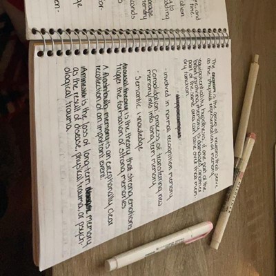 Zebra 25ct Mildliner Dual-tip Creative Markers Assorted Colors : Target