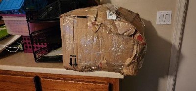 Clorox Colorload Non-chlorine Bleach - 116oz : Target