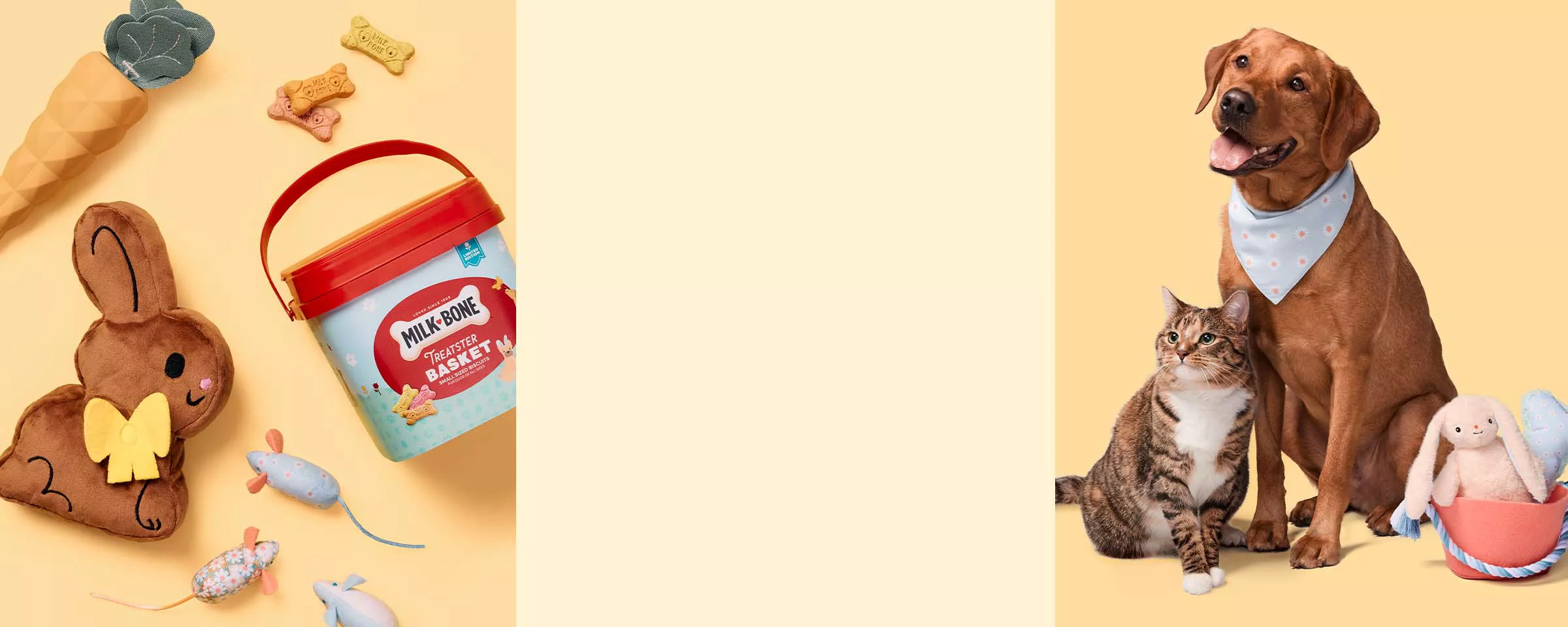 Cat Supplies : Target