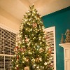 Twinkle Star 150ct Incandescent Christmas Lights, Mini Clear String ...