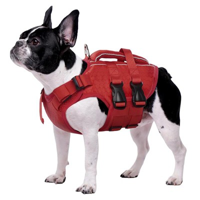 Kuoser High Flotation Dog Life Jacket : Target