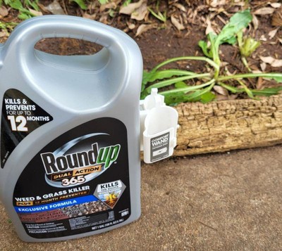 Roundup 32oz Max Control 365 Vegetation Killer Concentrate : Target