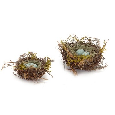 Birds Nest with Eggs (Set of 12) : Target
