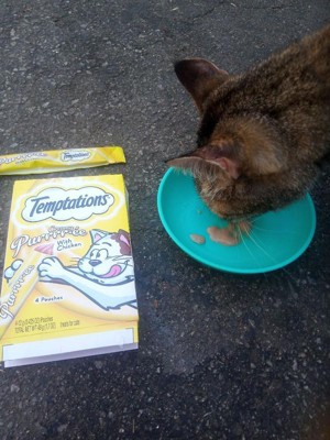 Temptations Puree With Chicken Flavor Squeezable Lickable Cat Treats ...